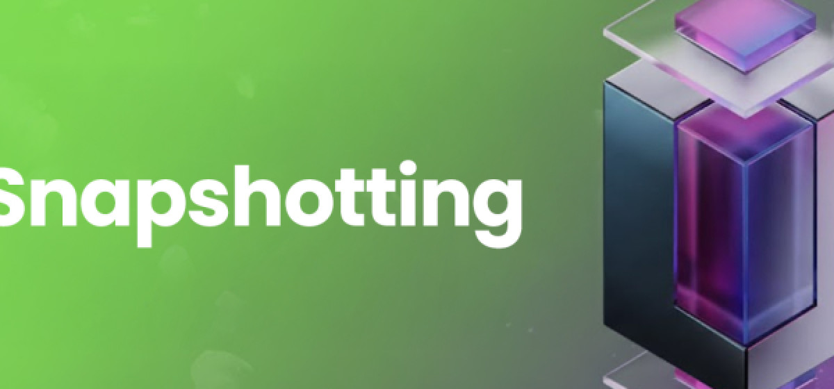 What is Snapshotting? - A Beginner’s Guide to Blockchain Records