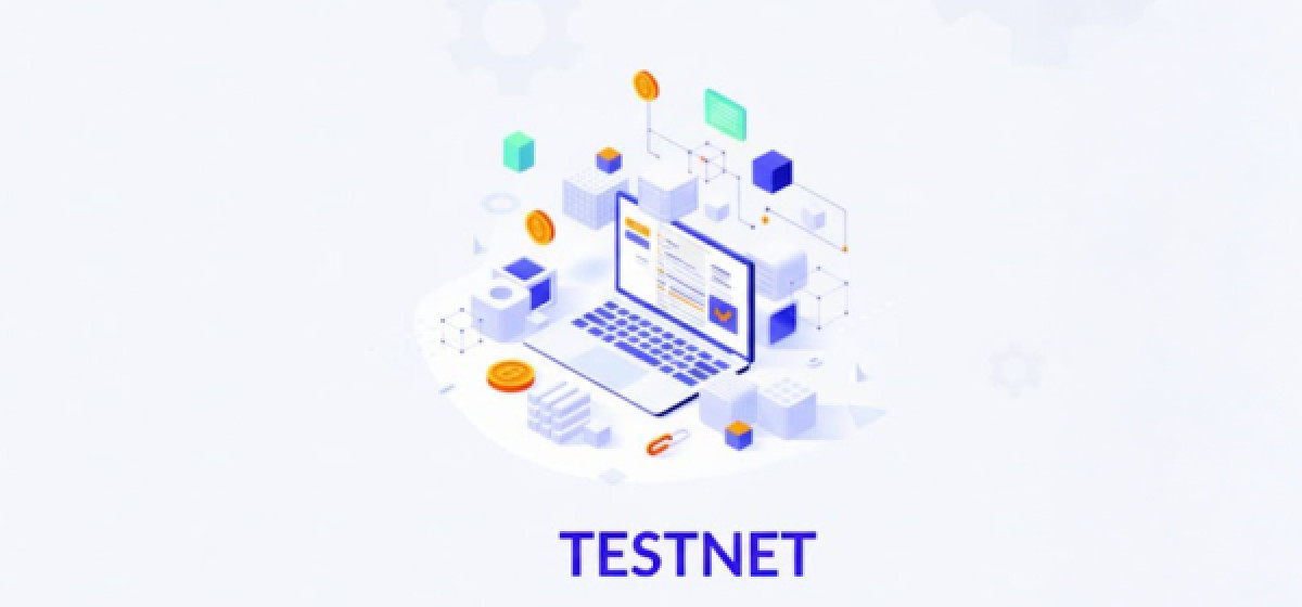 What is Testnet - Everything You Need to Know